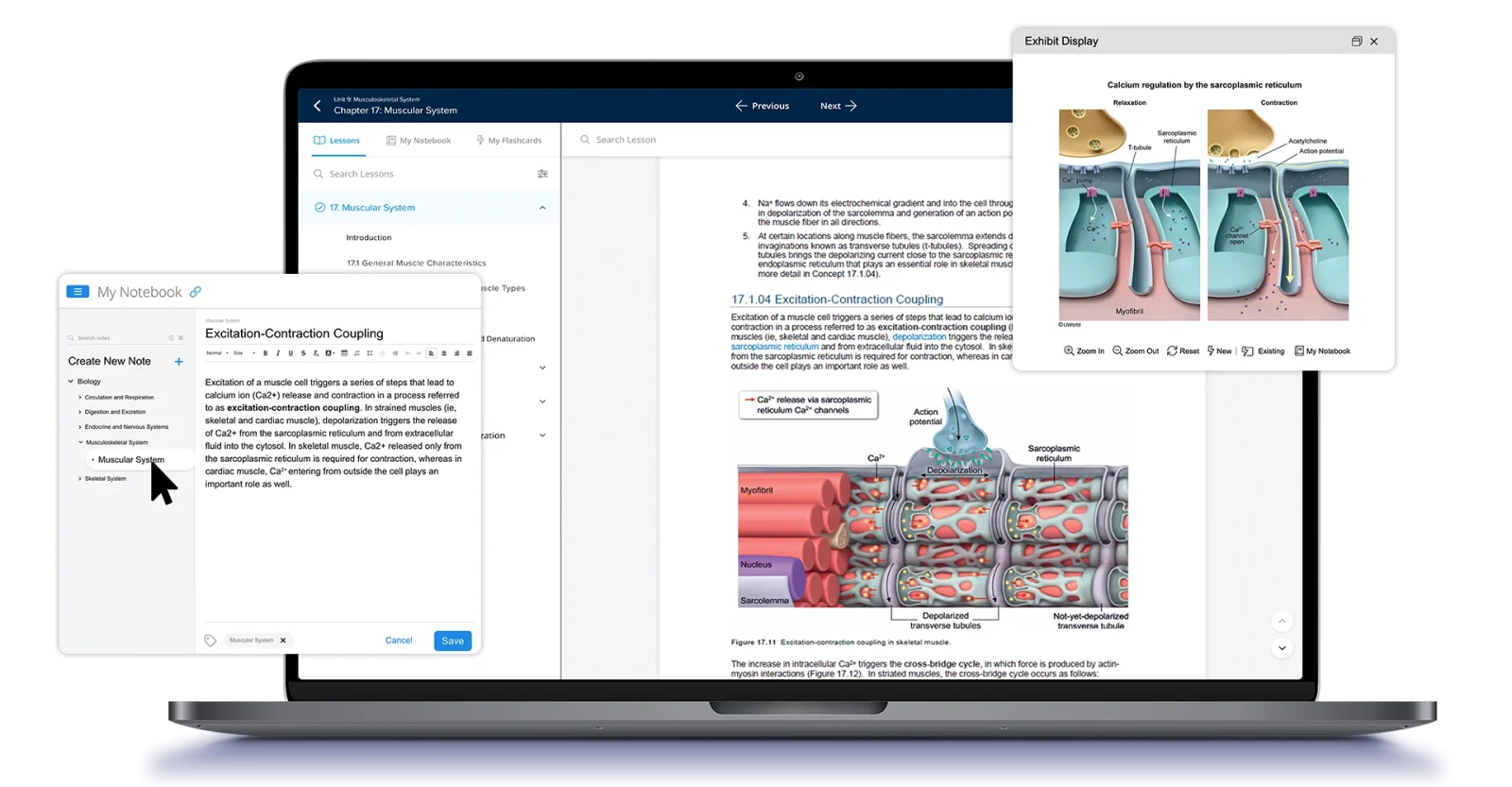 MCAT® Prep Books from UWorld in Print & Digital