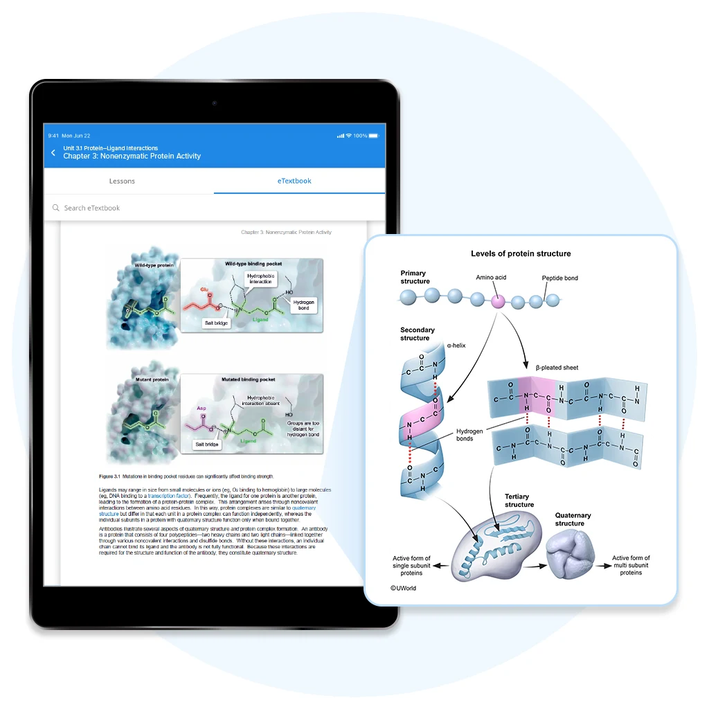 MCAT® Prep Books from UWorld in Print & Digital